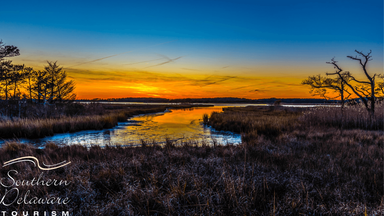 Zoom Backgrounds | Visit Southern Delaware